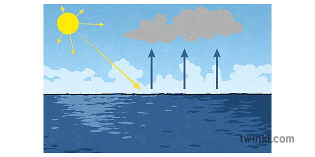 evaporación del mar Illustration - Twinkl