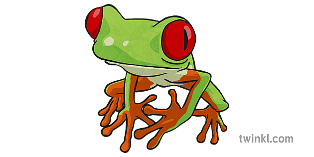 Frog Facts for Kids | Biology | Twinkl Teaching Wiki