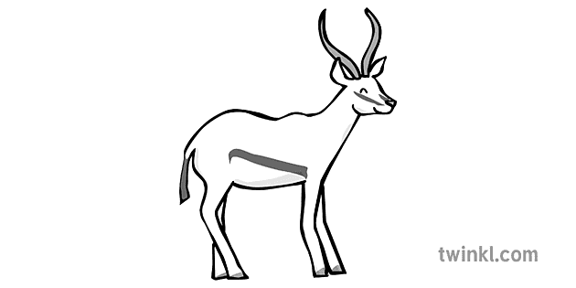 Gazelle Black and White Illustration - Twinkl