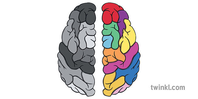Growth Mindset Brain Illustration - Twinkl