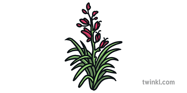 harakeke symbol ver 1 Illustration - Twinkl