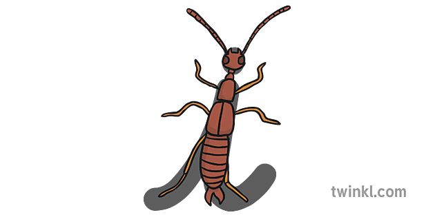 Long Vowels in English - Long Vowel Sounds - Wiki - Twinkl