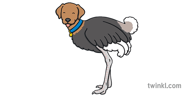 Imaginary Pet Nerdy Characters And The Imaginary Pets That Love Them ...