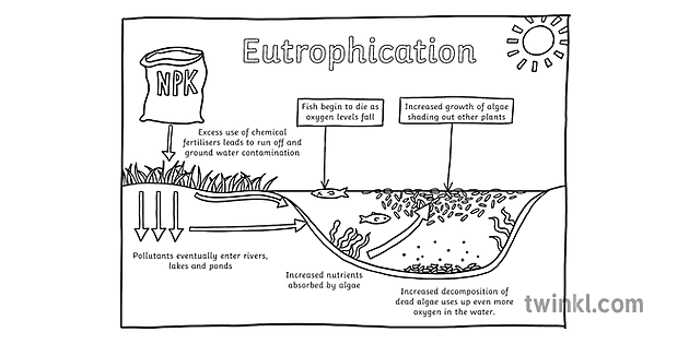 Eutrophication For Kids