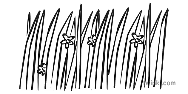 Long Wavy Grass Black and White Illustration - Twinkl