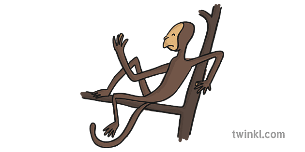 Muggle Wump the Monkey Illustration - Twinkl