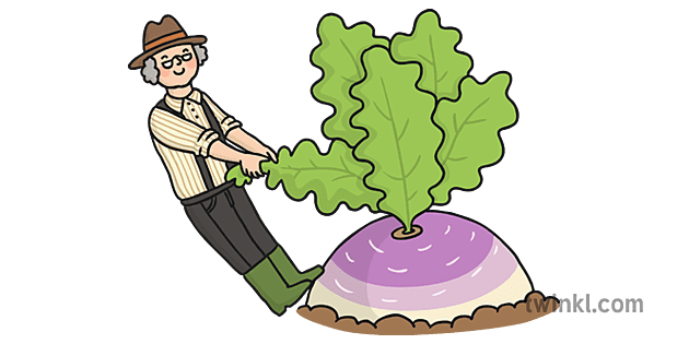 Old Man Pulling Turnip Illustration - Twinkl