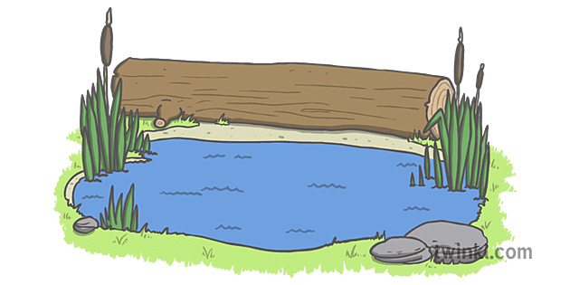 Pond with Log Illustrazione - Twinkl