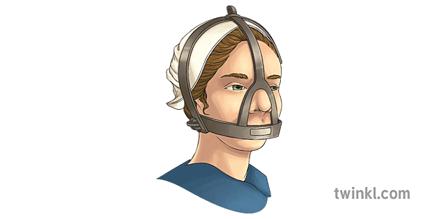 Scolds Bridle Illustration Twinkl
