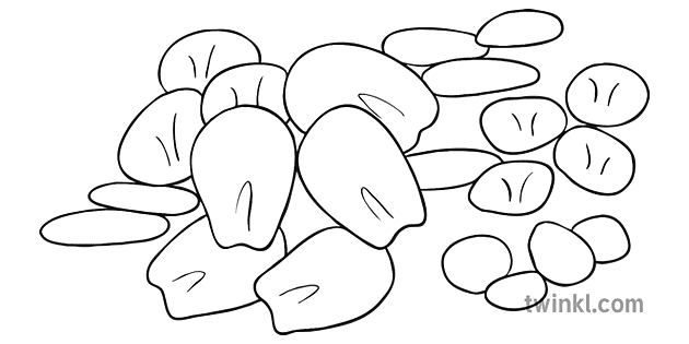 Imagenes De Semilla Para Colorear Sketch Coloring Page