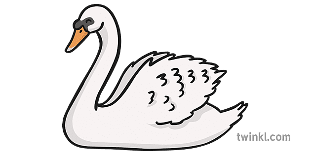 Swan 1 Illustration - Twinkl