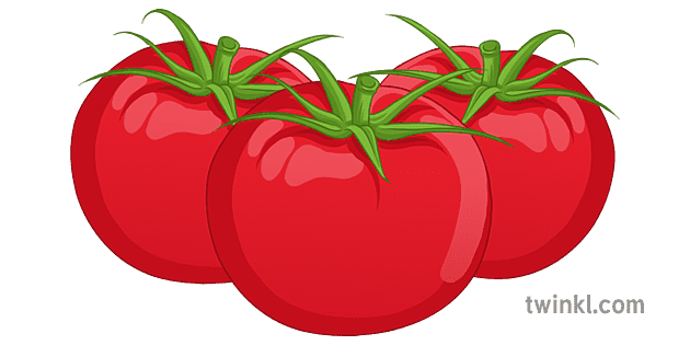 kamatis 1 Illustration - Twinkl