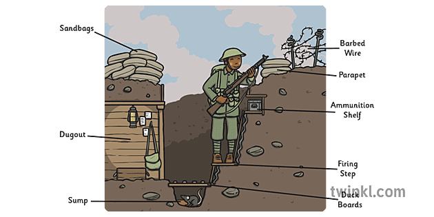 Trench Diagram Illustration - Twinkl