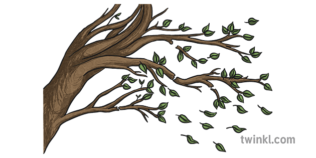 What is Climate? | Earth Sciences | Twinkl USA - Twinkl