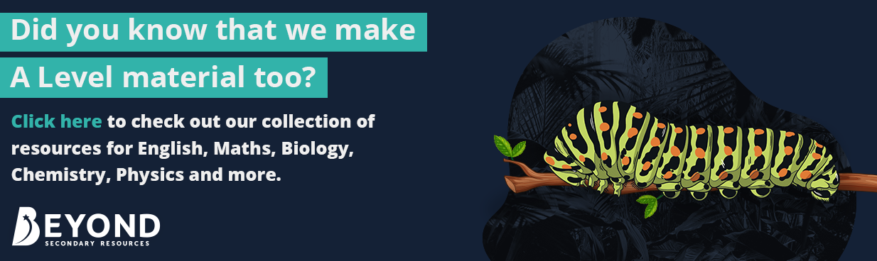 Beyond Secondary Education | KS3 and GCSE Teaching Resources