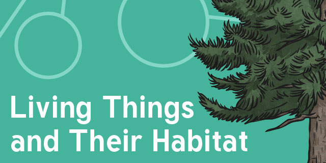 Living Things and Their Habitats - Year 4 Science Resources