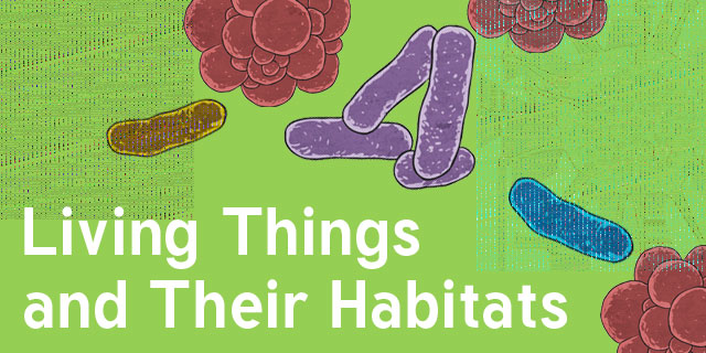 Living Things and Their Habitats - Year 6 Science Resources
