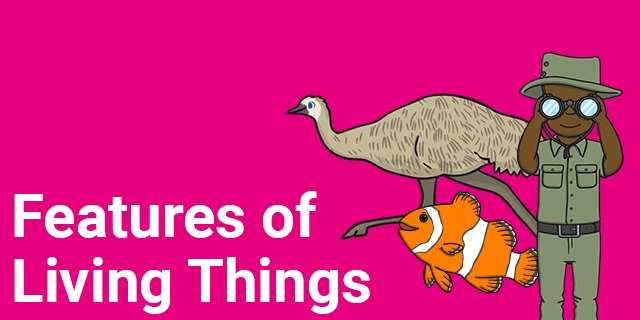 Year 1 Science Lesson Plans for the Australian Curriculum