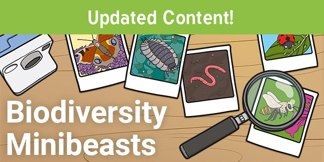 Engaging Science Lessons | Year 2 Science | Twinkl PlanIt