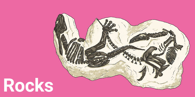 Year 4 Science Lesson Plans | PlanIt | Australian Curriculum