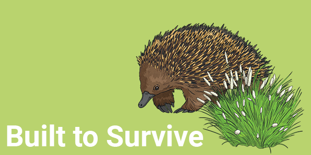 Year 5 Science Lesson Plans | PlanIt | Australian Curriculum