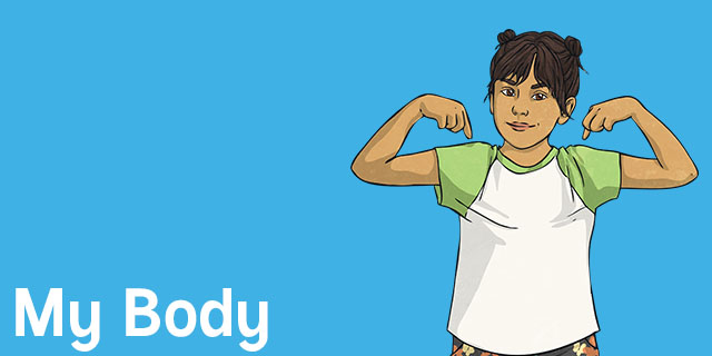 KS2 Spanish - PlanIt - My Body Primary Resources - Twinkl