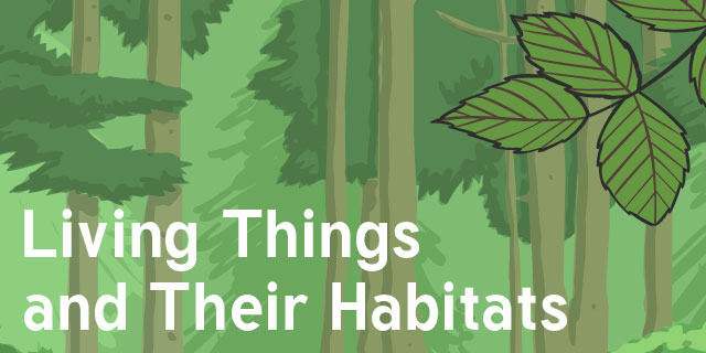 Y2 Living things and their habitats Primary Resources - Science Y