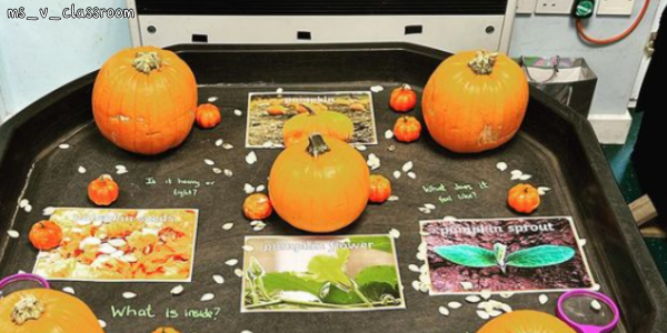 Early Years Autumn Activity Hub | Early Years Autumn Support