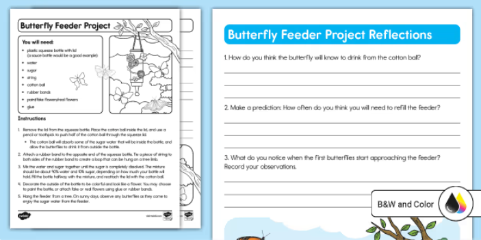 What Do Butterflies Eat? Teaching Wiki - Twinkl