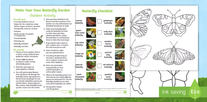 What Do Butterflies Eat? Teaching Wiki - Twinkl