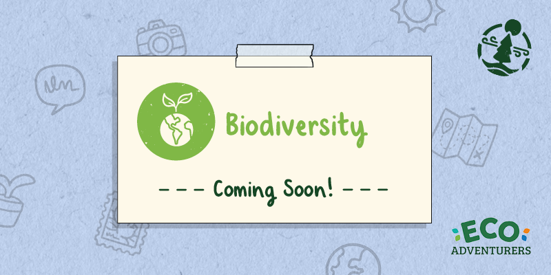 Printable and Digital Teacher Resources | Twinkl USA