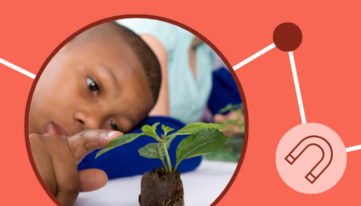 Primary Resources - KS2, KS1, Early Years (EYFS) KS3, KS4, Twinkl