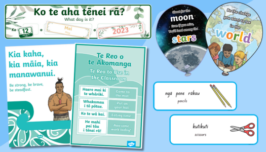 New Zealand Primary Teaching Resources - Twinkl