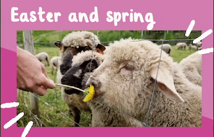 Primary Resources | EYLF F-2 Year 3-10 | Twinkl Teacher-made