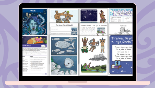 New Zealand Primary Teaching Resources - Twinkl
