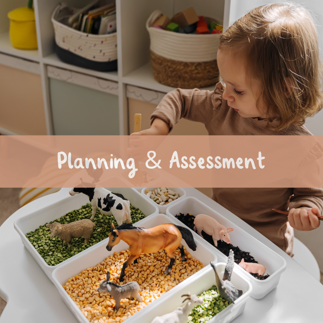 Early Years Resources | EYFS | Northern Ireland | Twinkl