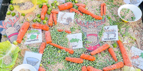 Early Years Christmas Support Activities | EYFS Activity Hub