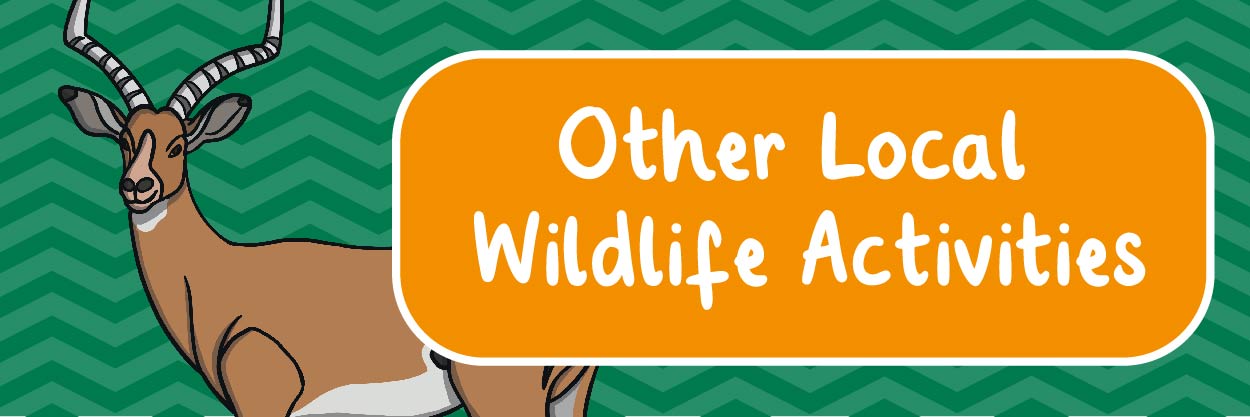 Stand for Wildlife Mzansi South Africa/Suid-Afrika -Teaching Resources
