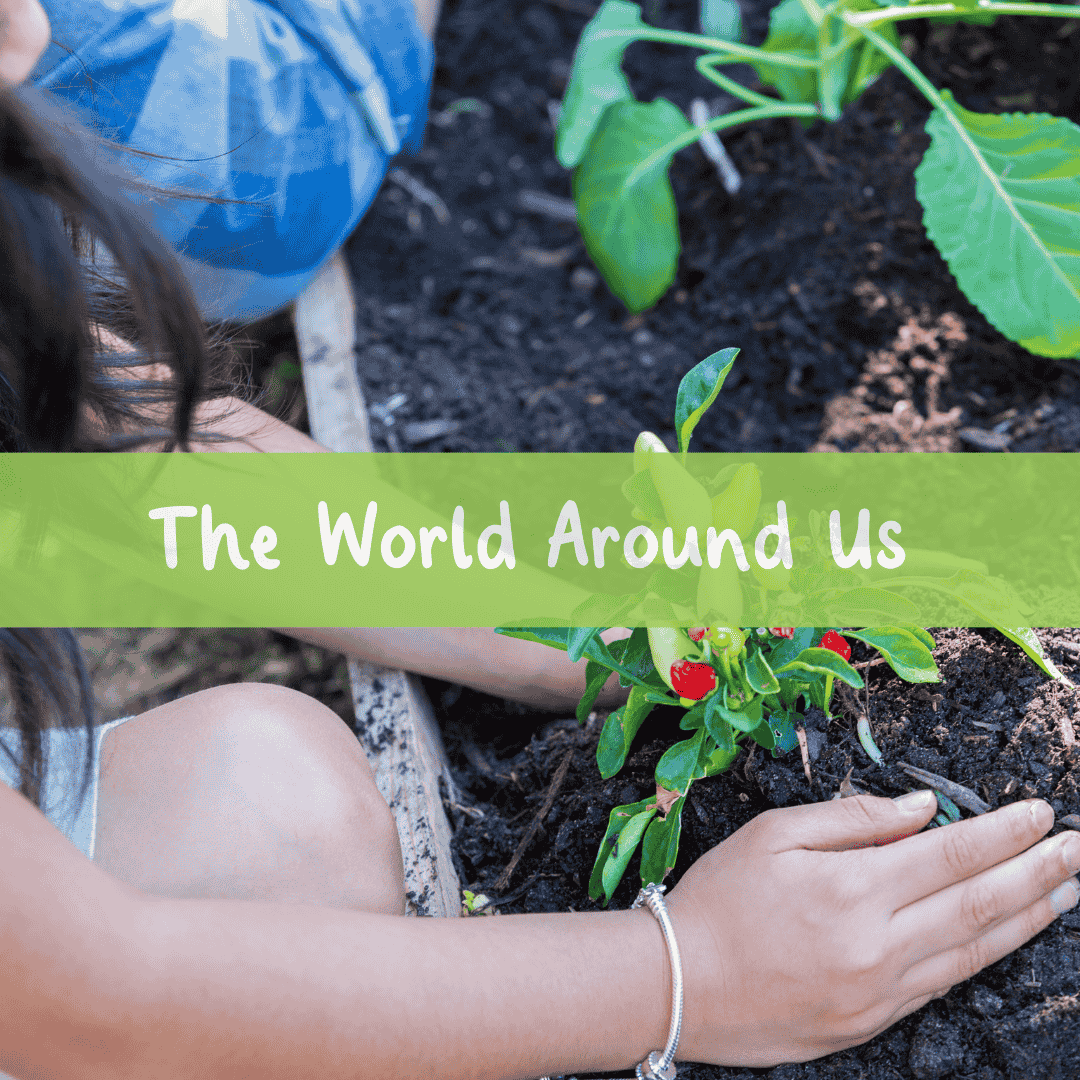 Northern Ireland Curriculum - Foundation Stage Resources