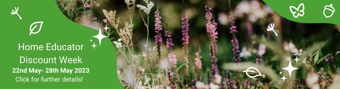 Home Education and Home School Primary Resources - Twinkl