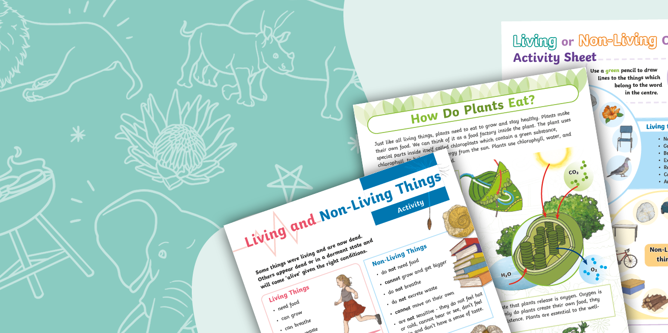 English Medium Intermediate Phase Resources - South Africa