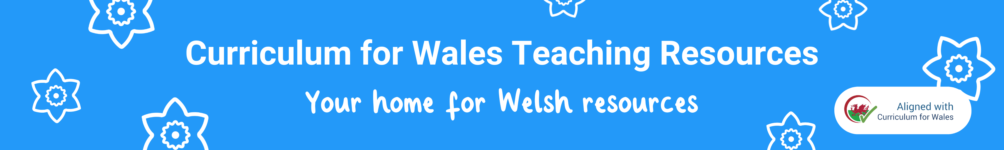 Curriculum for Wales / Cwricwlwm i Gymru - Twinkl