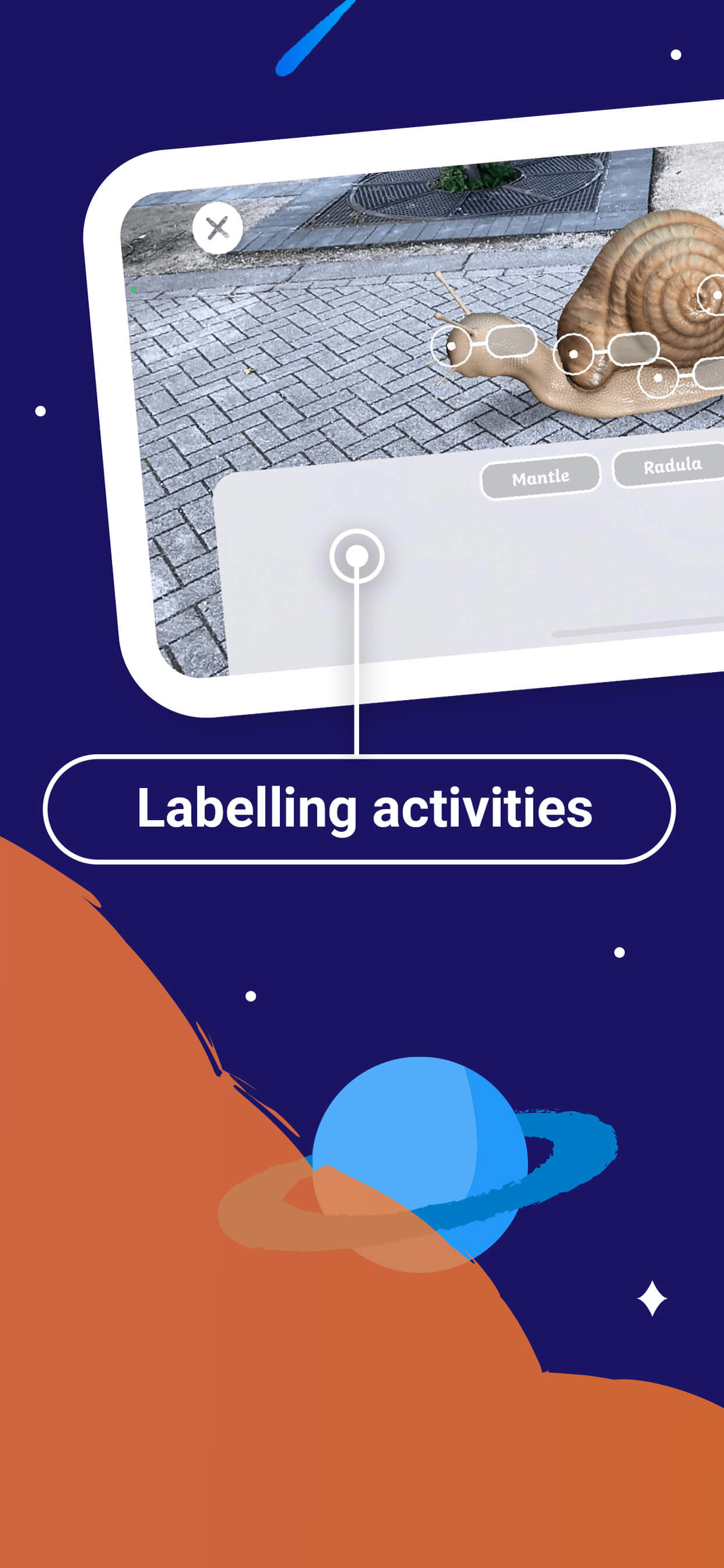 Twinkl LeARn & Explore App - AR Augmented Reality Educational App for ...