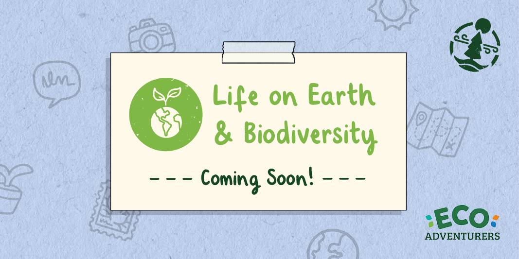 Ressources pédagogiques pour l'école primaire (cycle1, cycle 2, cycle 3)