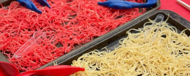 Early Years Lunar New Year Support | Chinese New Year | EYFS