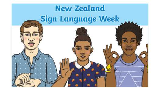 New Zealand Primary Teaching Resources - Twinkl