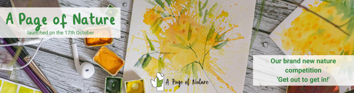 Home Education and Home School Primary Resources - Twinkl