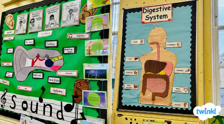 Creative Classroom Display Ideas - Maths, Science Boards and more