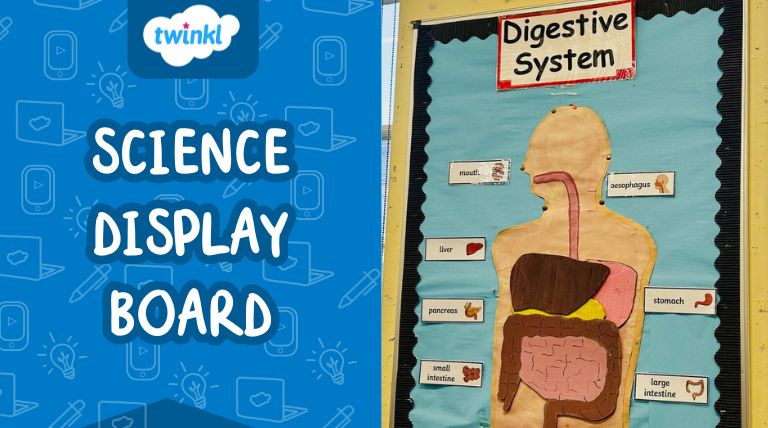 Creative Classroom Display Ideas - Maths, Science Boards and more