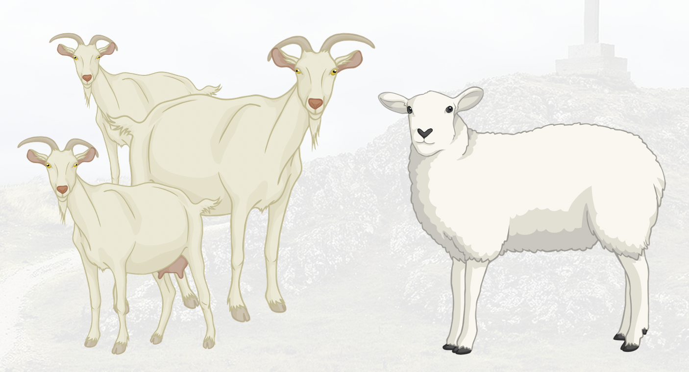 What is the Golden Rule Christianity? - Answered - Twinkl Teaching Wiki